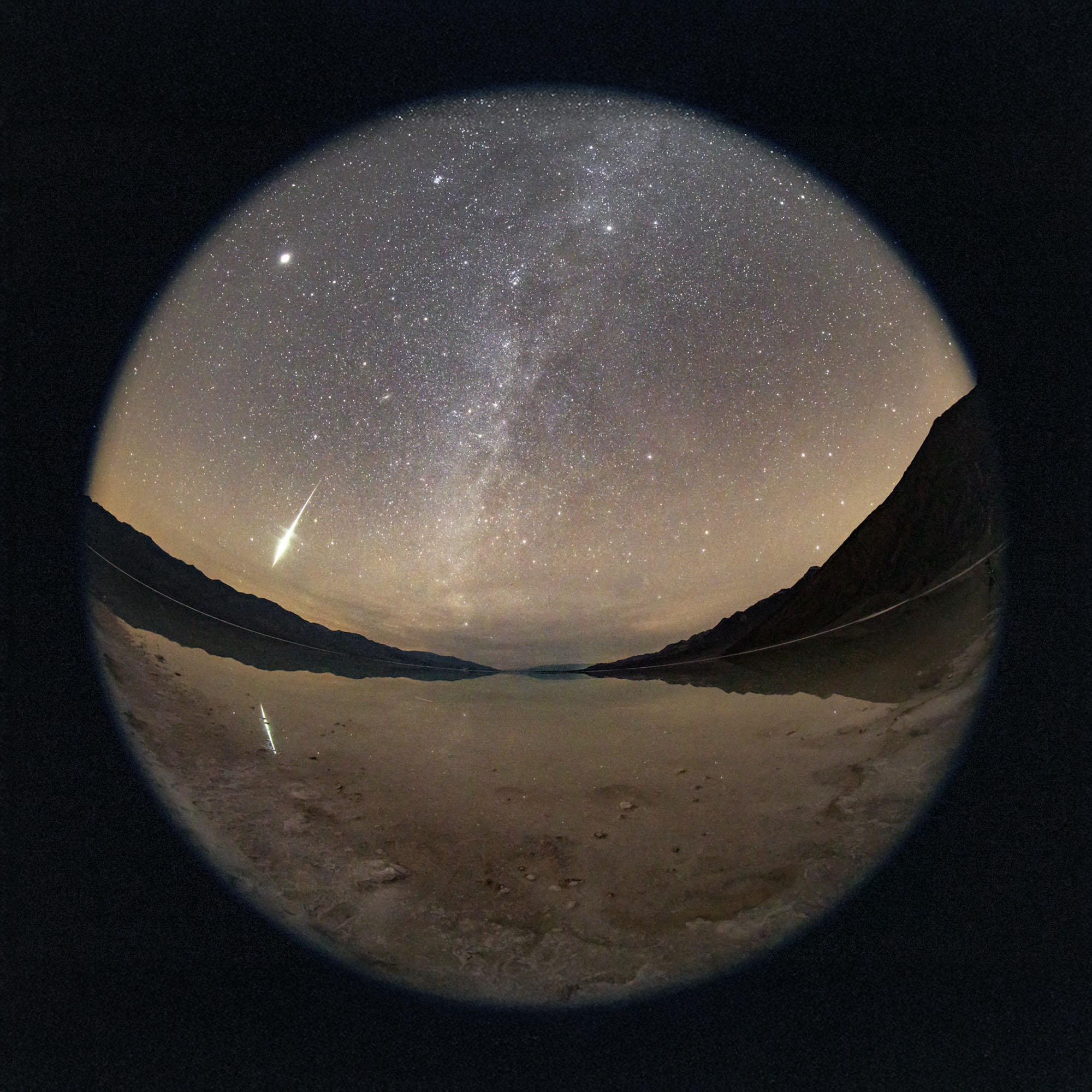 Fireball! – SHELLEY CARLISLE ARTIST